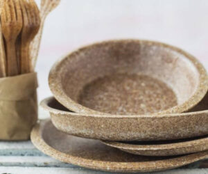 Edible Plates – Kenrich Overseas Trading Co.